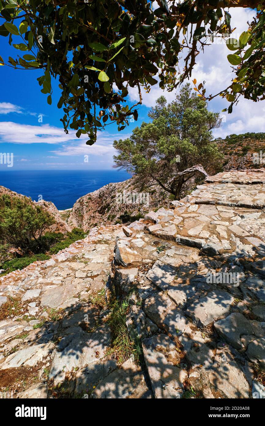 Typical Greek landscape. Paved path, hills, bushes. Big olive, mastic ...