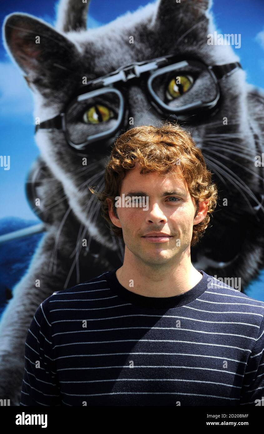 Kitty Galore Cats And Dogs High Resolution Stock Photography and Images ...