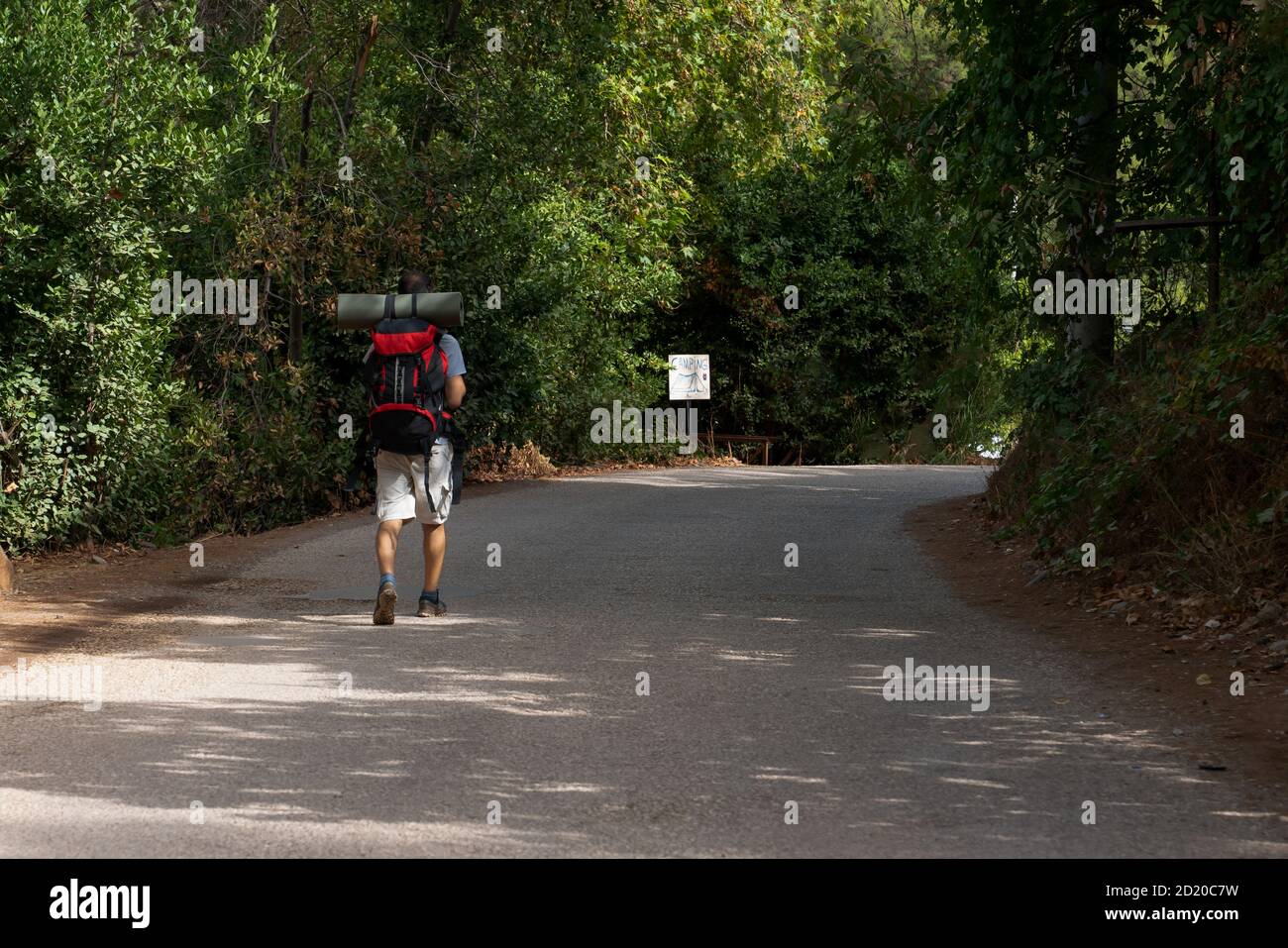 Back rear view of traveler young man with backpack. Tourist traveling ...