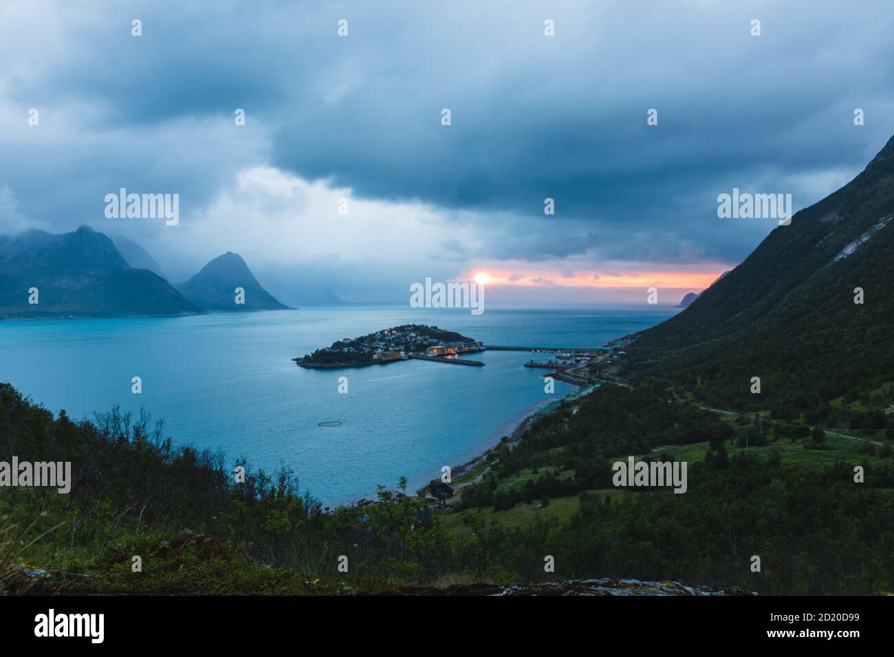 Sunstar fish hi-res stock photography and images - Alamy