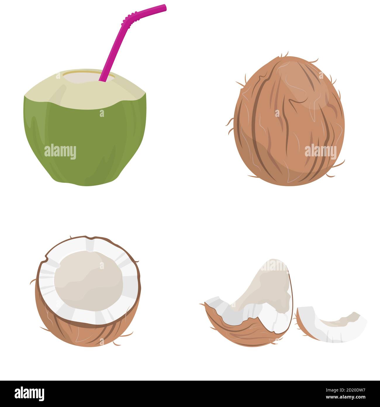 Set of coconut elements. Juicy fruit in cartoon style Stock Vector ...