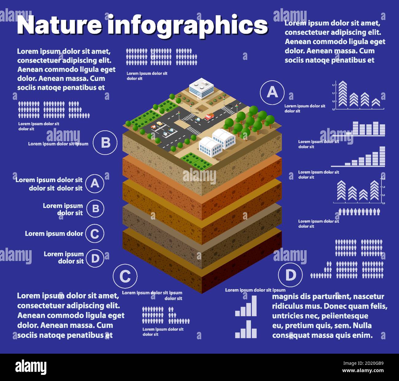 Infographics nature Geological and underground layers of soil under the ...