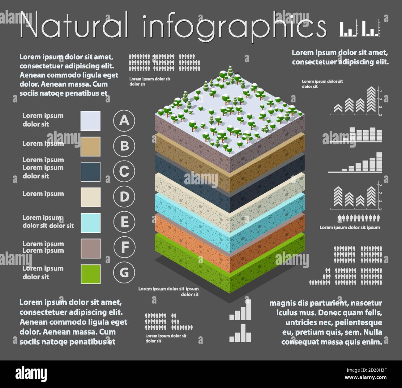Infographics nature Geological and underground layers of soil under the ...