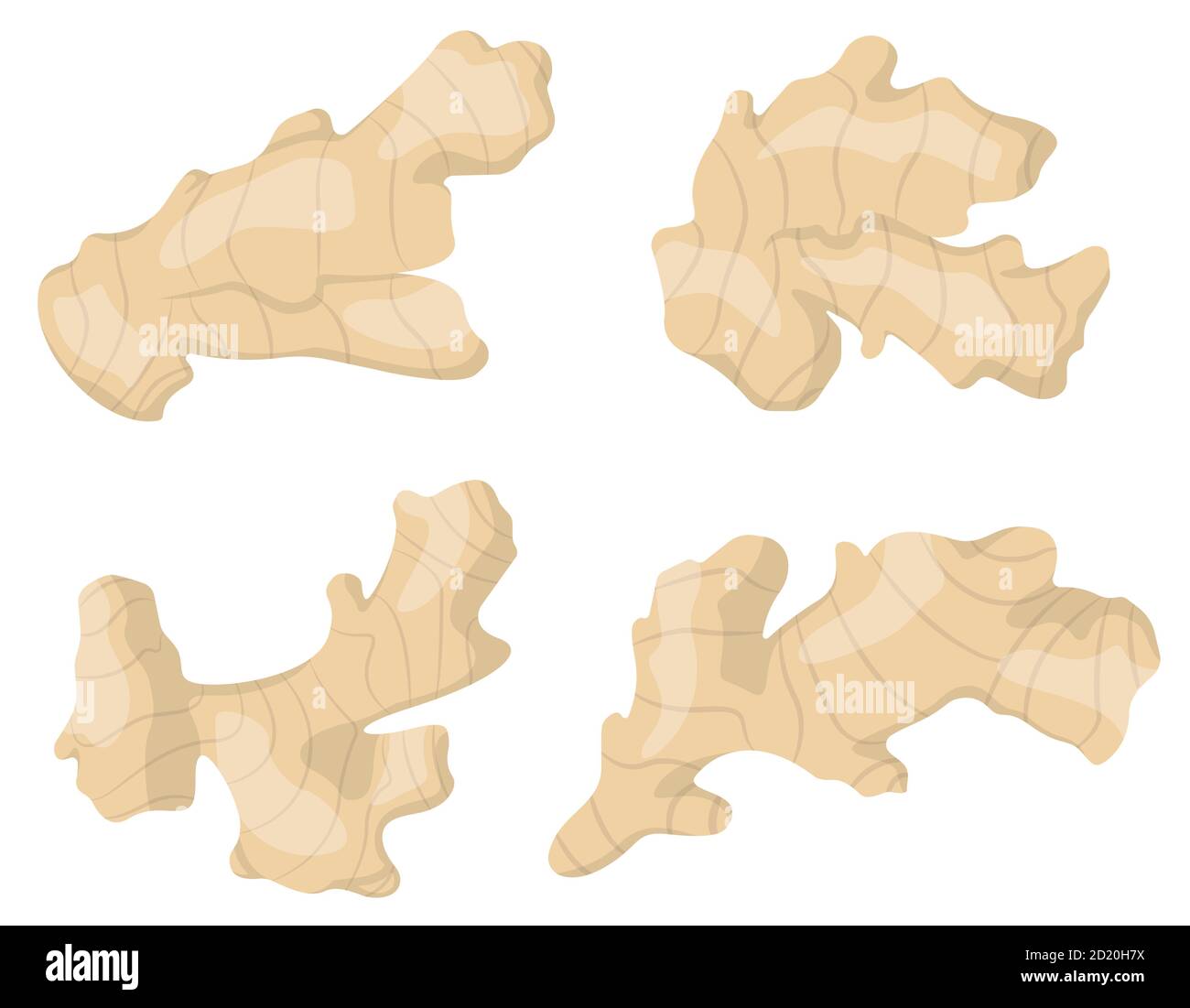 Ginger root in cartoon style. Healthy food Stock Vector Image & Art - Alamy