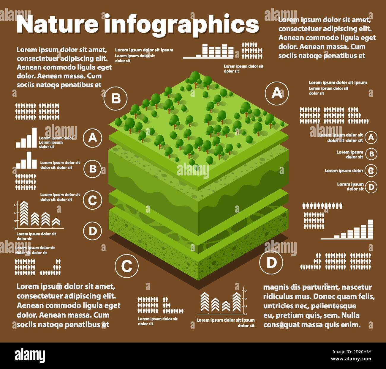 Infographics nature Geological and underground layers of soil under the ...