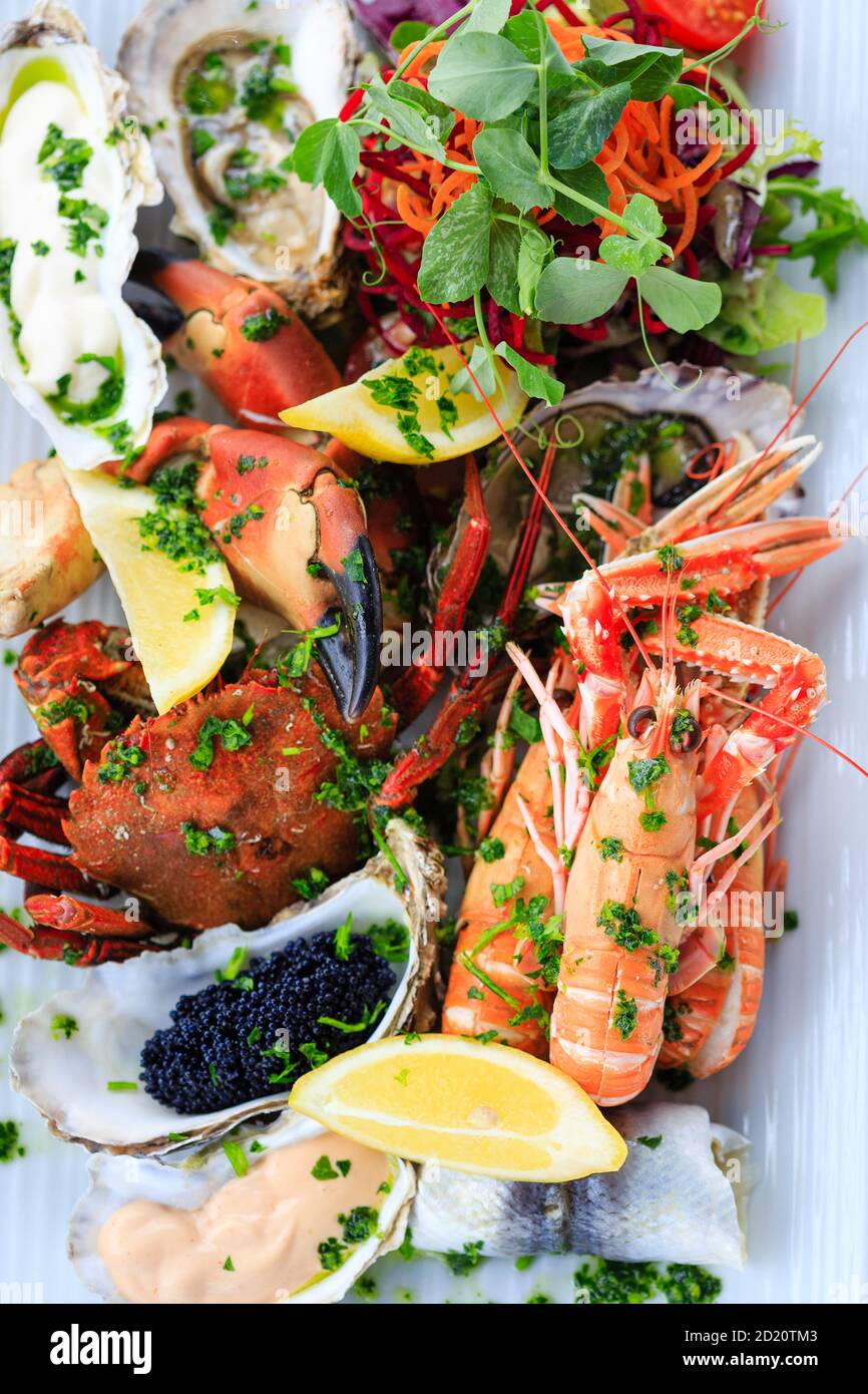 Delicious Seafood Platter from the Isle of Mull, Scotland Stock Photo ...
