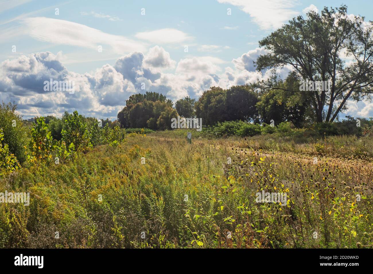 Peaceful field hi-res stock photography and images - Alamy