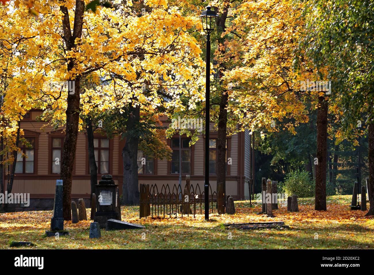 Tree cemetery hi-res stock photography and images - Alamy