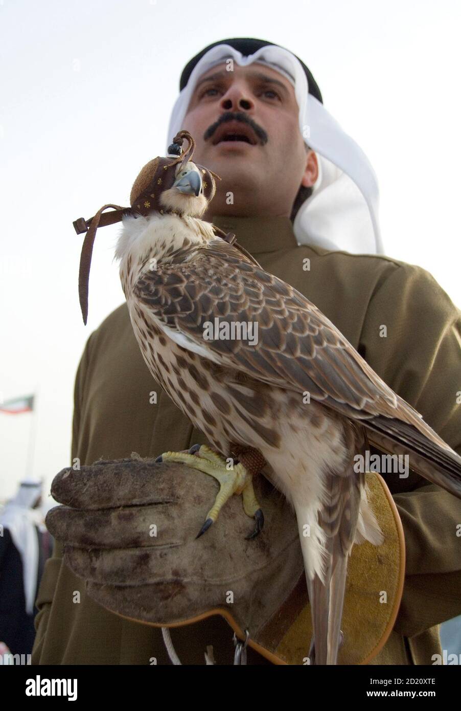 25 february national day kuwait hi-res stock photography and images - Alamy