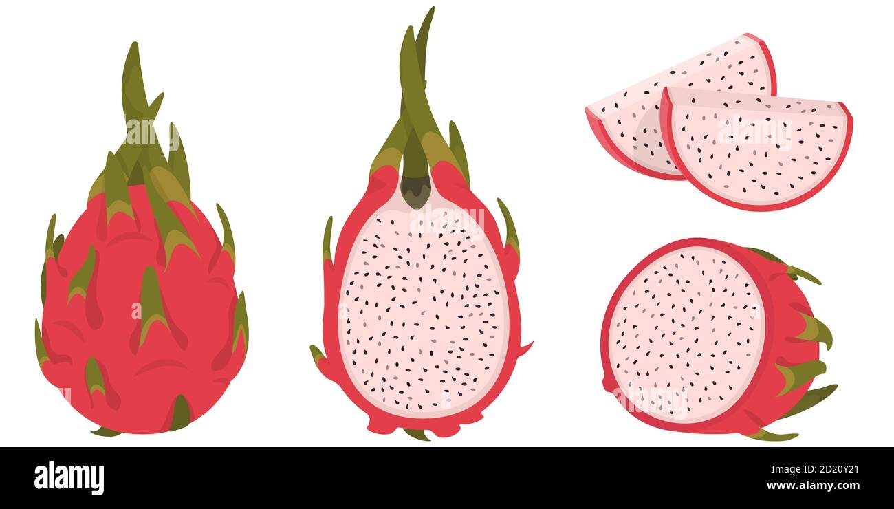 Whole and sliced pitaya. Dragon fruit in cartoon style Stock Vector ...