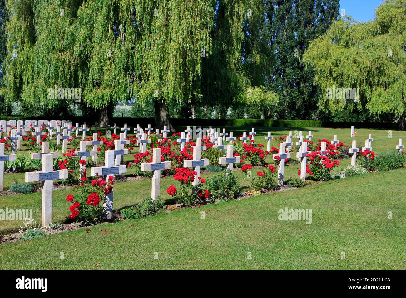 French graves at the (First World War) Lijssenthoek Military Cemetery ...
