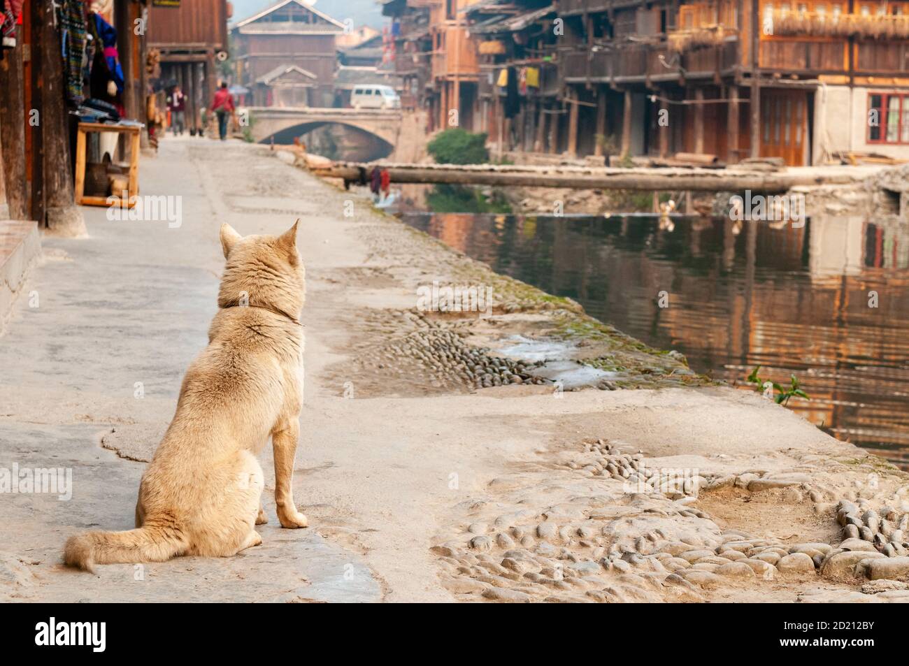 China, Zhaoxing - gorgeous Dong village is packed whit traditional ...