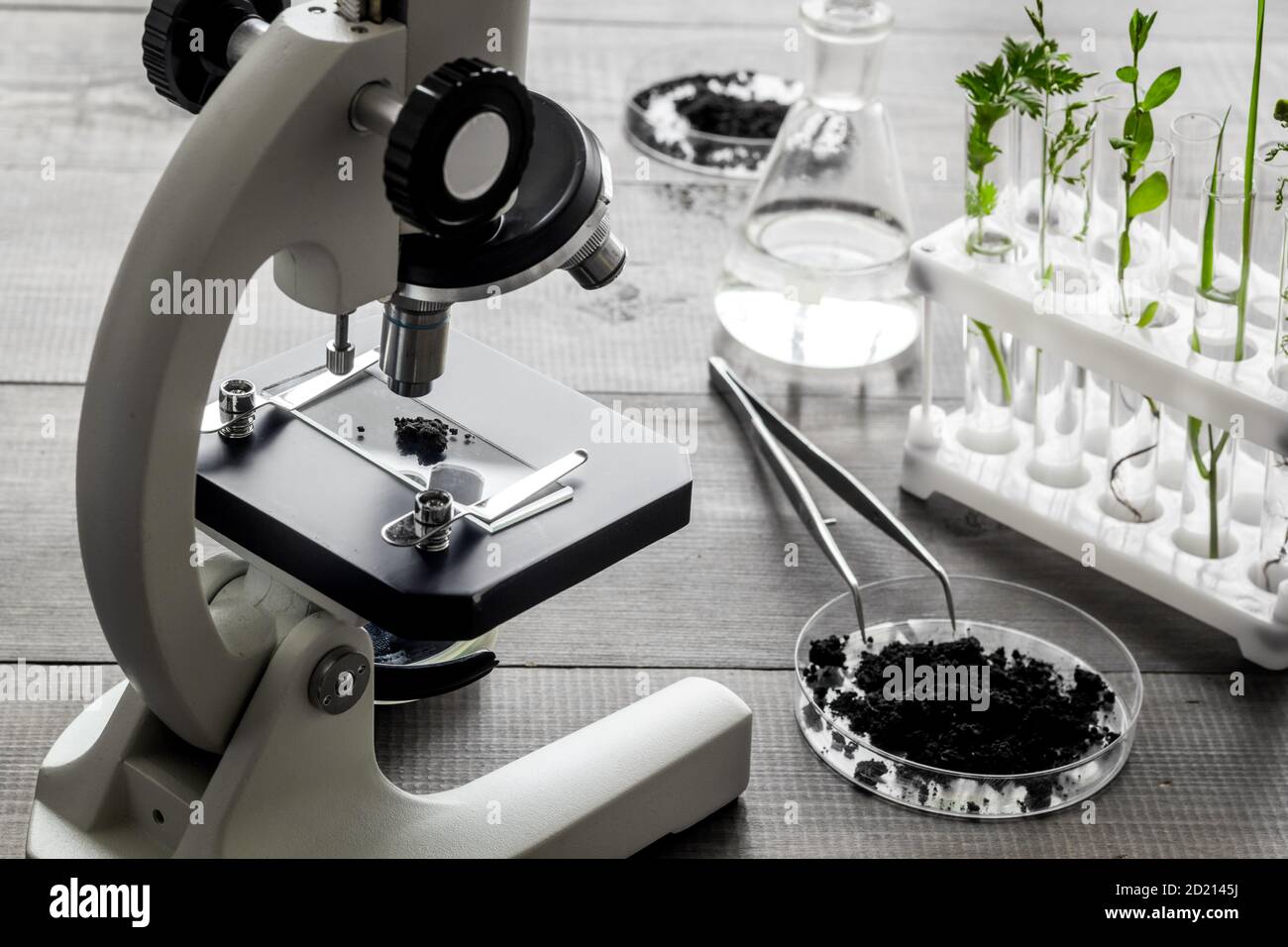 Biotechnology laboratory with plants and microscope on table Stock ...