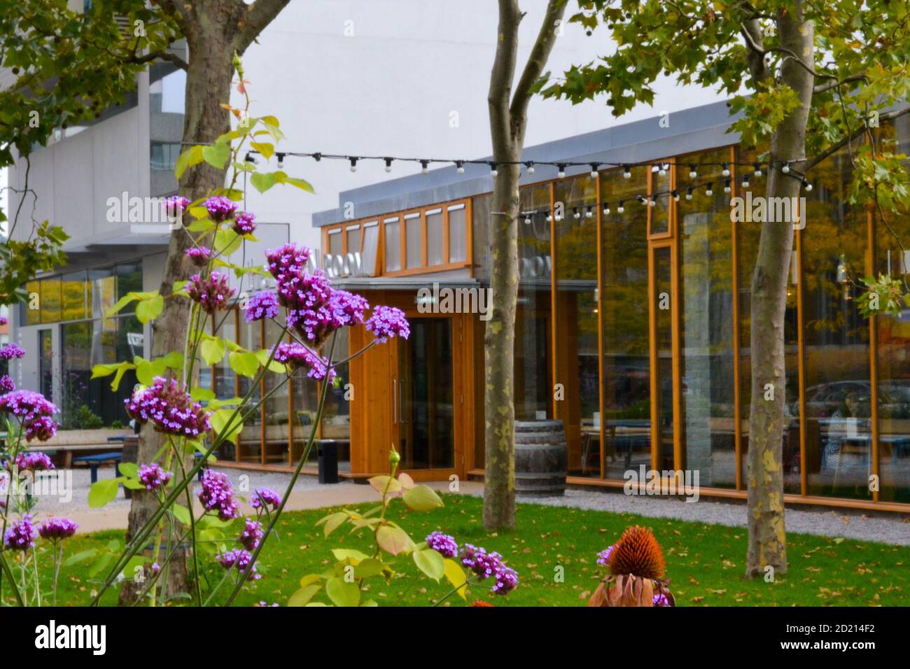 Modern front garden uk hi-res stock photography and images - Alamy