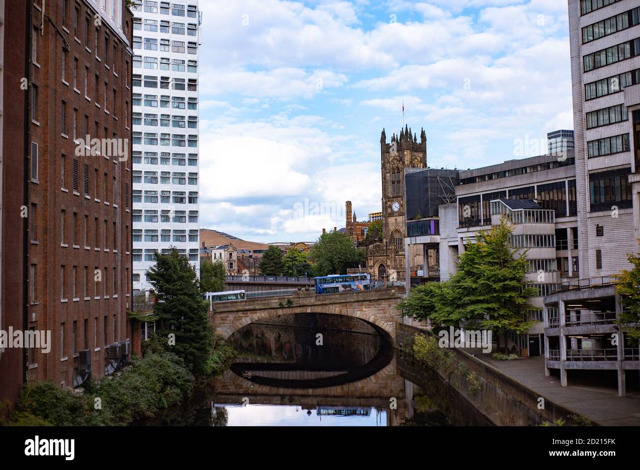 The tree of life in manchester hi-res stock photography and images - Alamy