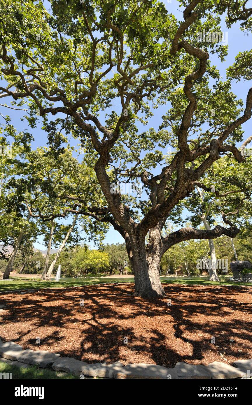 Phil jackson house hi-res stock photography and images - Alamy