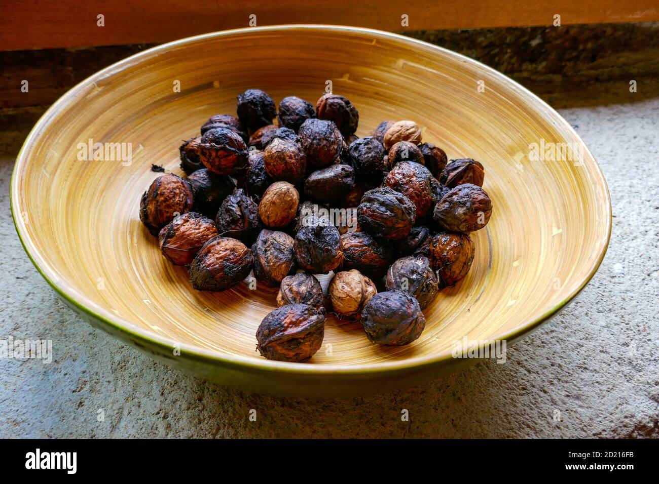 Walnut coat hi-res stock photography and images - Alamy