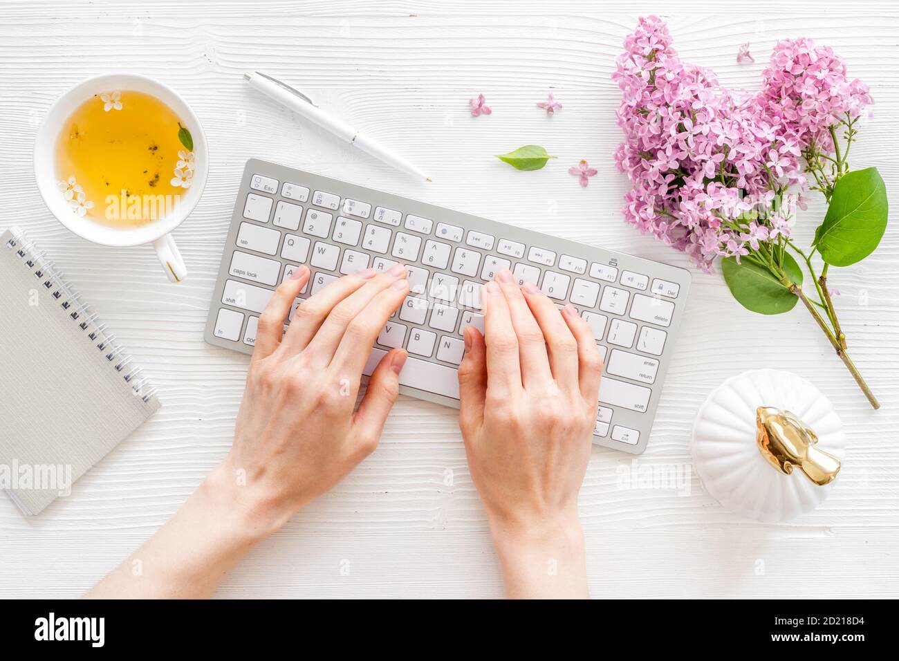 Girl typing on computer keyboard bright office space with flowers ...