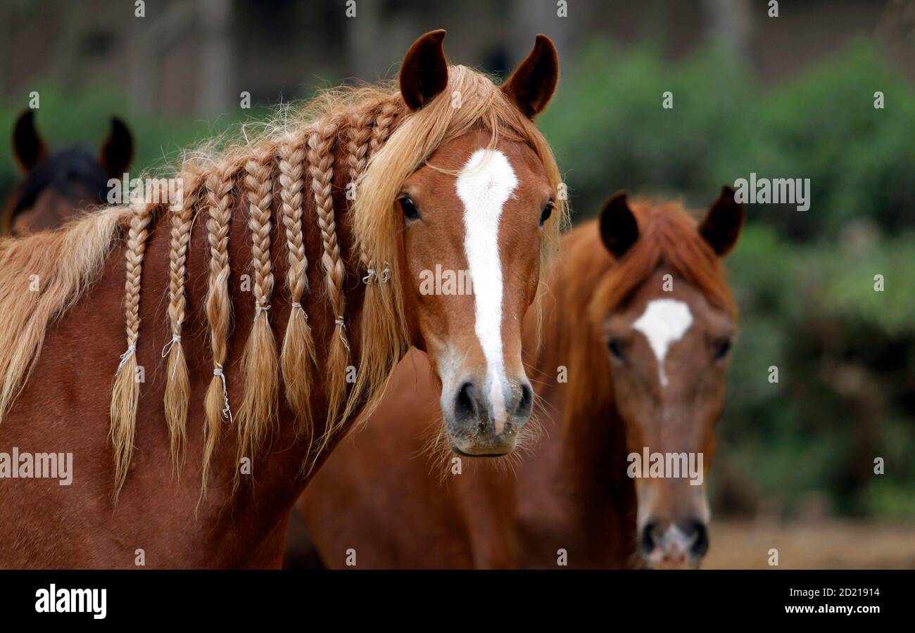 Gait speed hi-res stock photography and images - Alamy