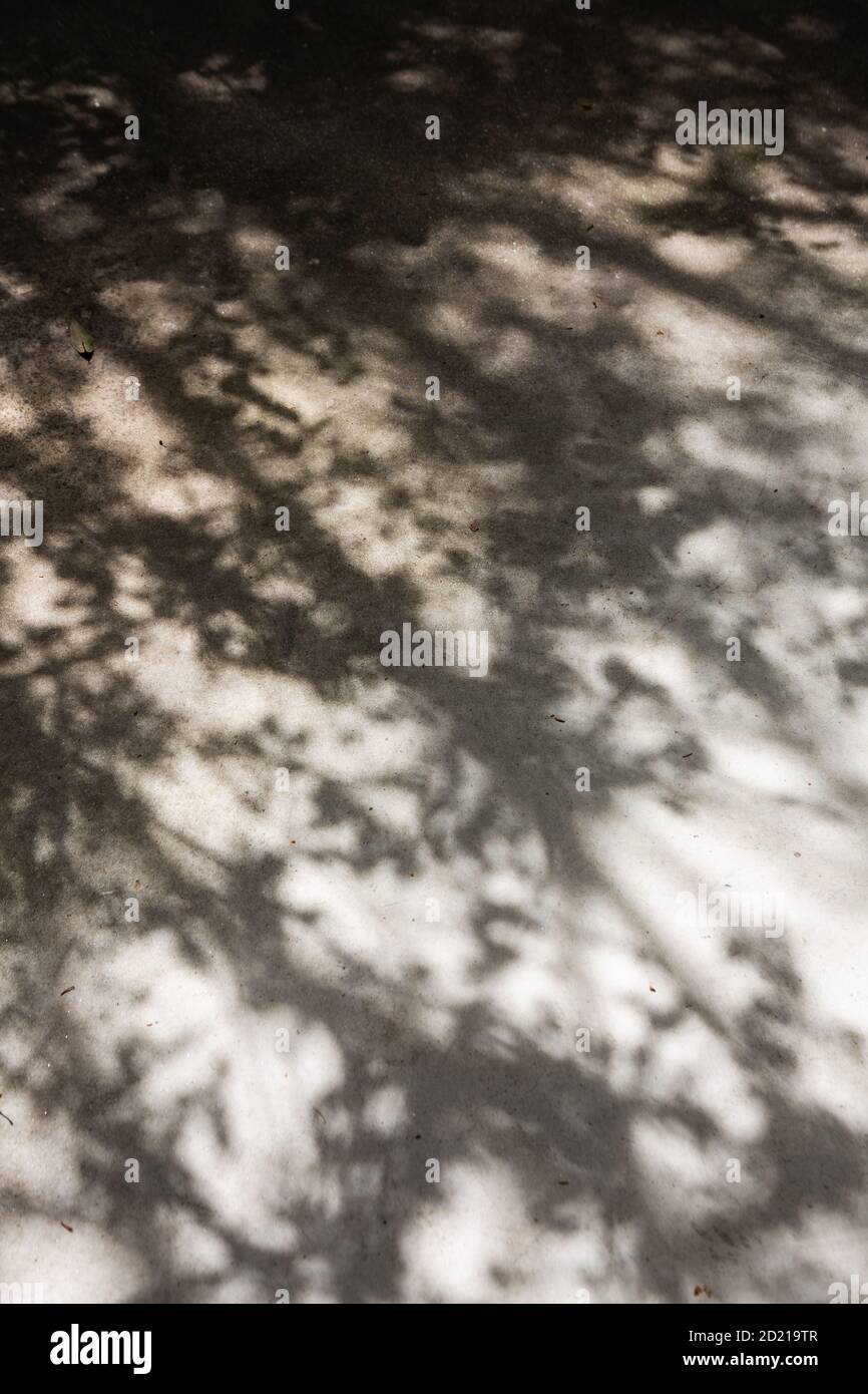 Shadows outside Chichu Art Museum, Naoshima, Japan Stock Photo - Alamy