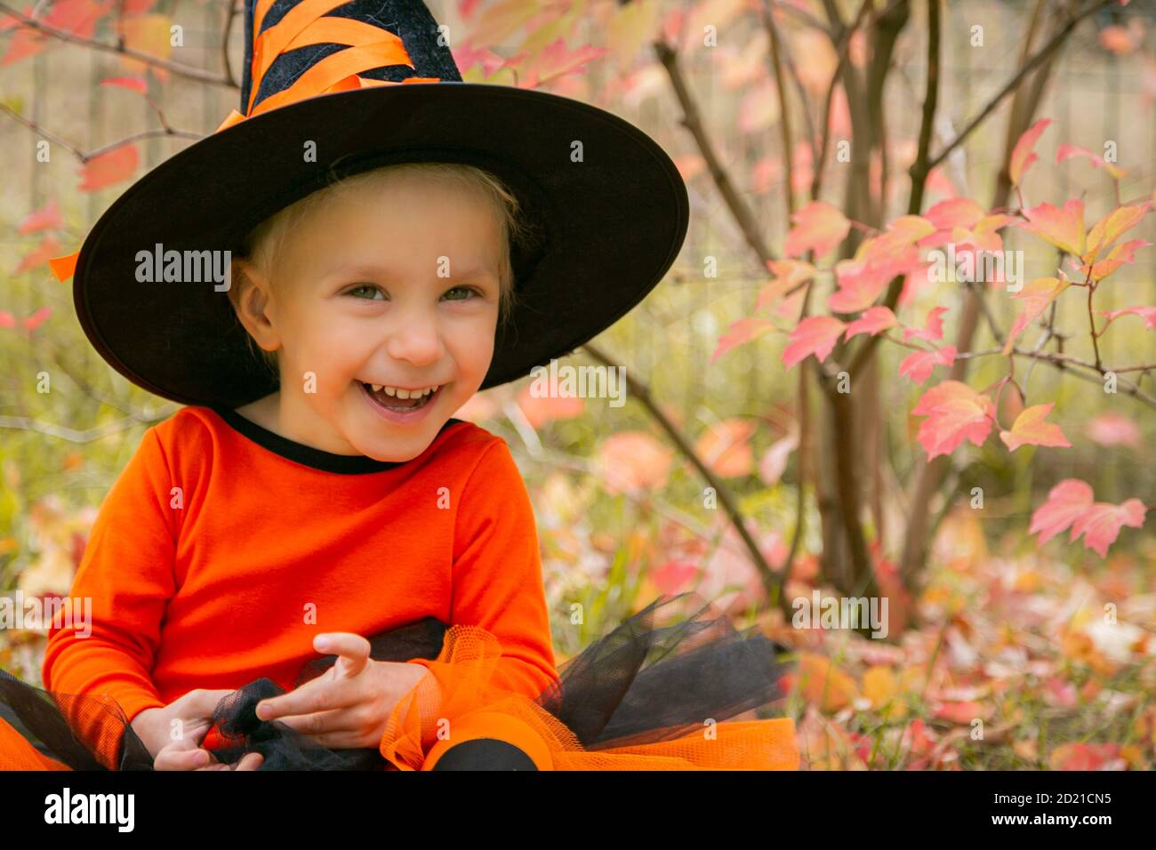 halloween concept - girl dressed as witch outside Stock Photo - Alamy