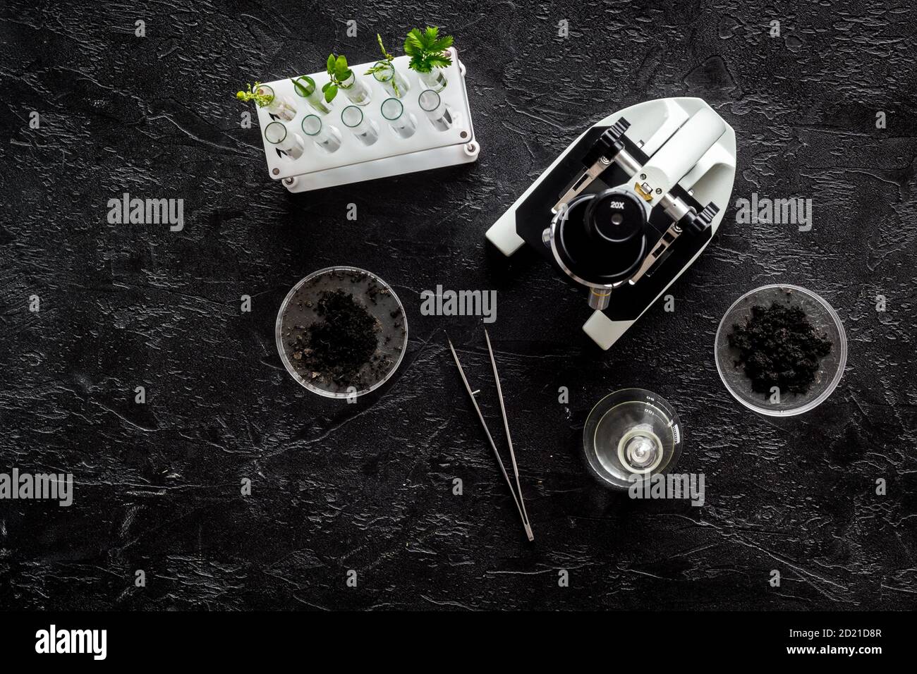 Plants with microscope in scientific laboratory. Top view Stock Photo ...