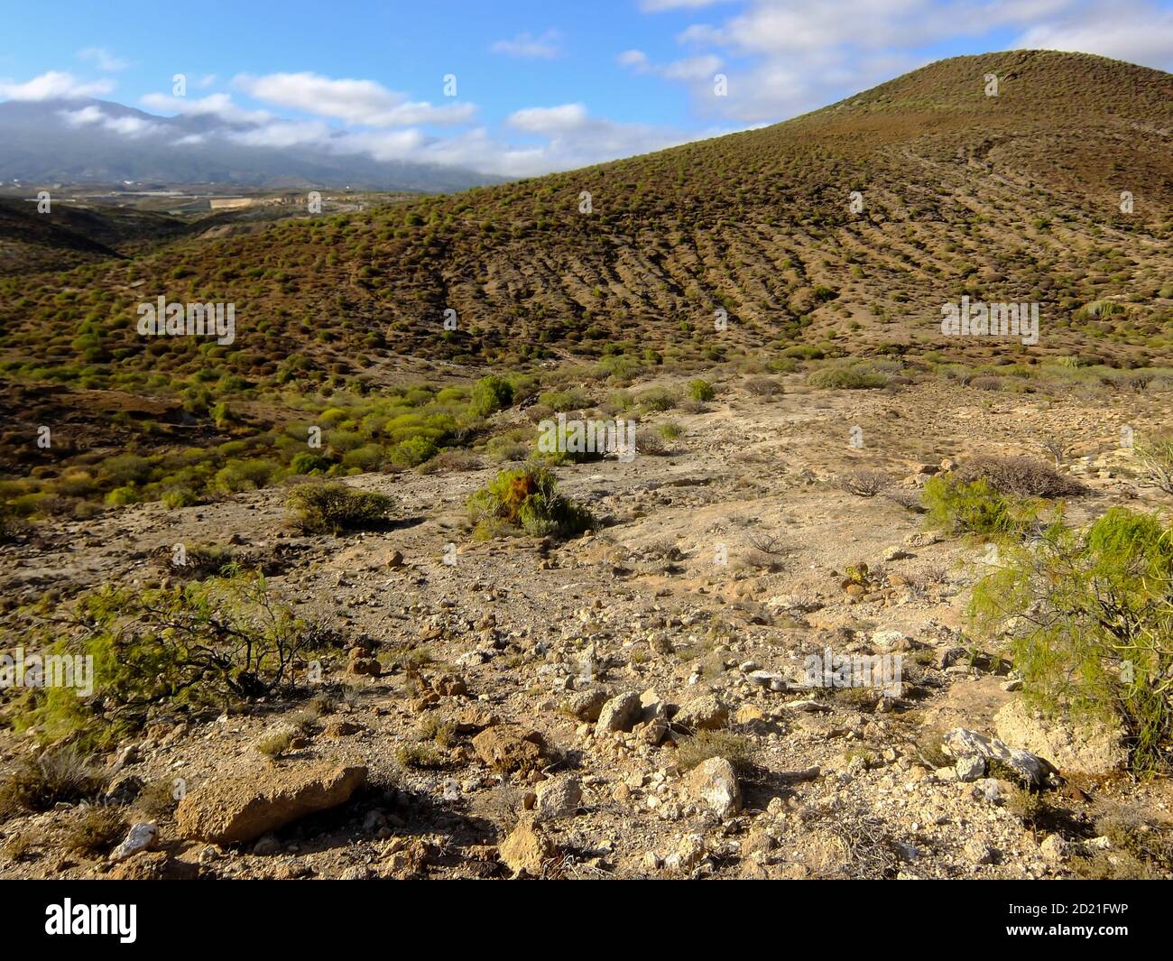 Dry Desert Landscape Stock Photo - Alamy