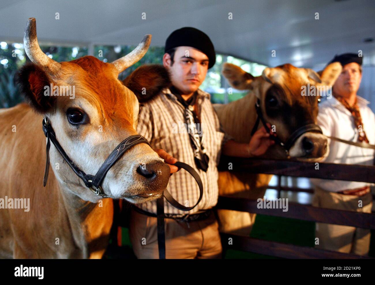 Transgenic animals hi-res stock photography and images - Alamy