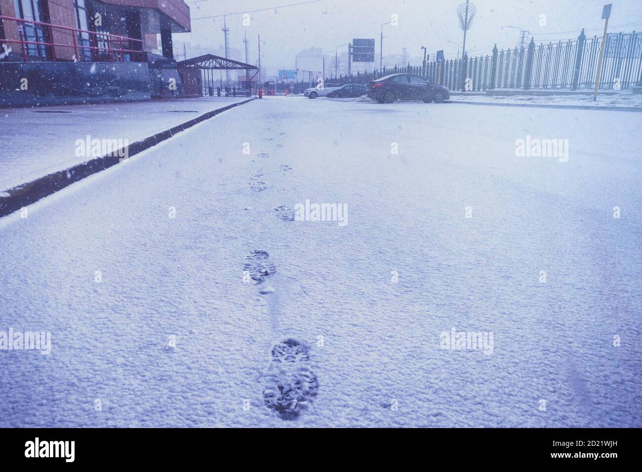 The first snow on the road. Footprints of a man in the thin snow Stock ...