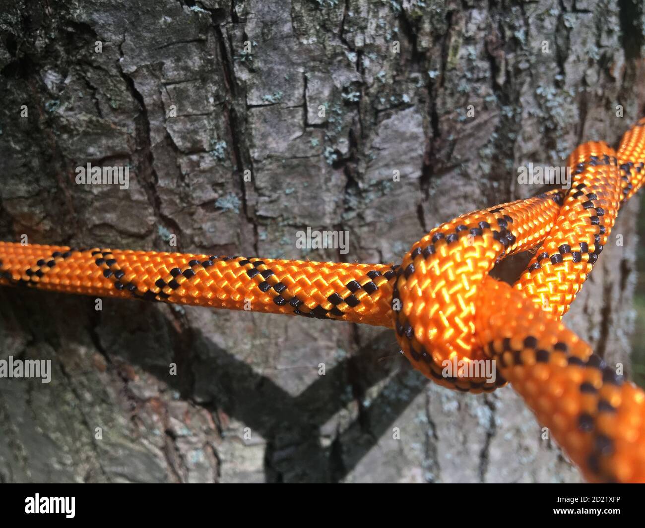Rope bark tight tree hi-res stock photography and images - Alamy