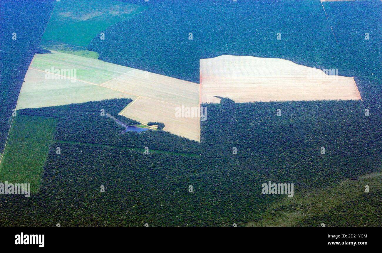 Mato grosso deforestation hi-res stock photography and images - Alamy