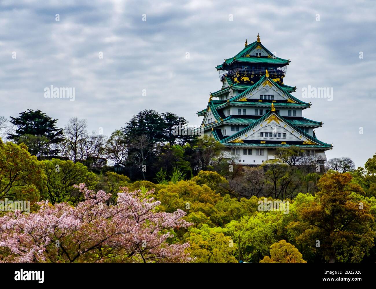 Japan castle spring osaka hi-res stock photography and images - Alamy