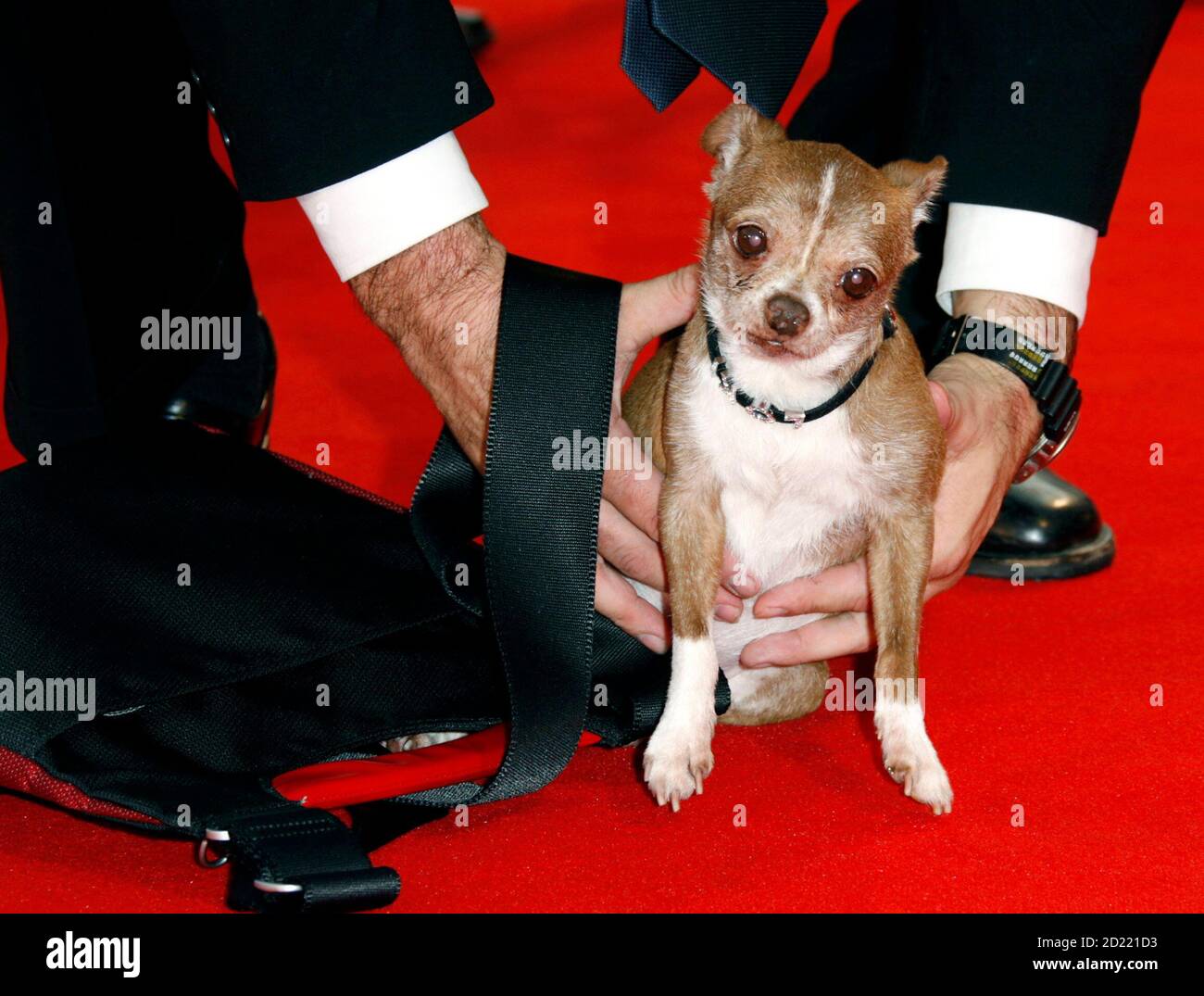 Mickey rourke with director darren aronofsky hi-res stock photography ...