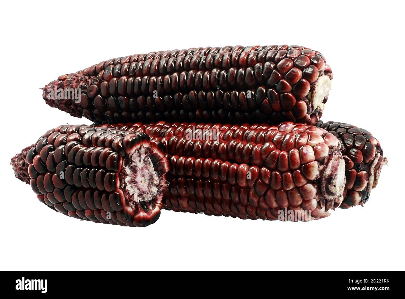 Black Corn isolated on white background Stock Photo - Alamy