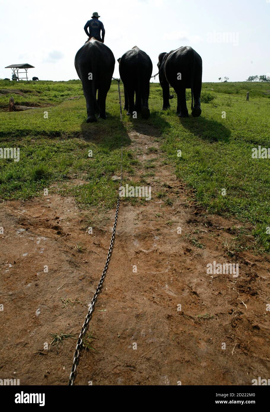 Fragmentation habitat hi-res stock photography and images - Alamy