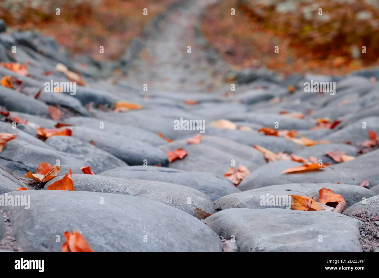 Gravel road going down path hi-res stock photography and images - Alamy