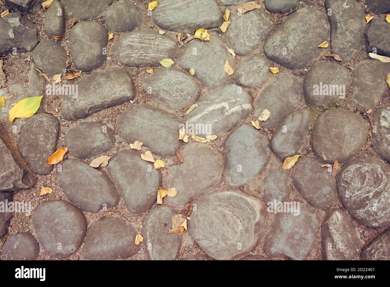 Background of the old boulder walkway, surface texture of large stones ...