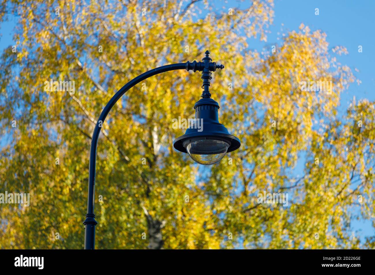 street lamp on a background of autumn leaves Stock Photo - Alamy
