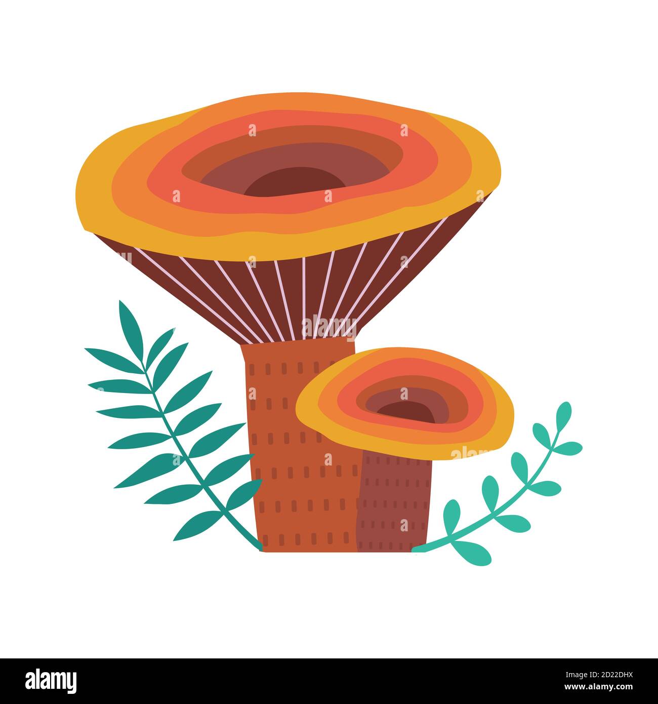 Forest fungi Cut Out Stock Images & Pictures - Alamy