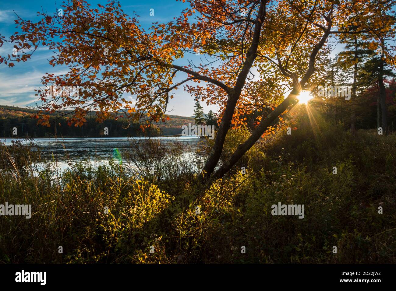 Catskill state park hi-res stock photography and images - Alamy