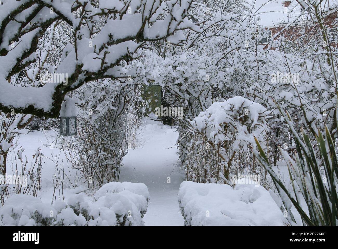 Beautiful landscape winter snow hi-res stock photography and images - Alamy