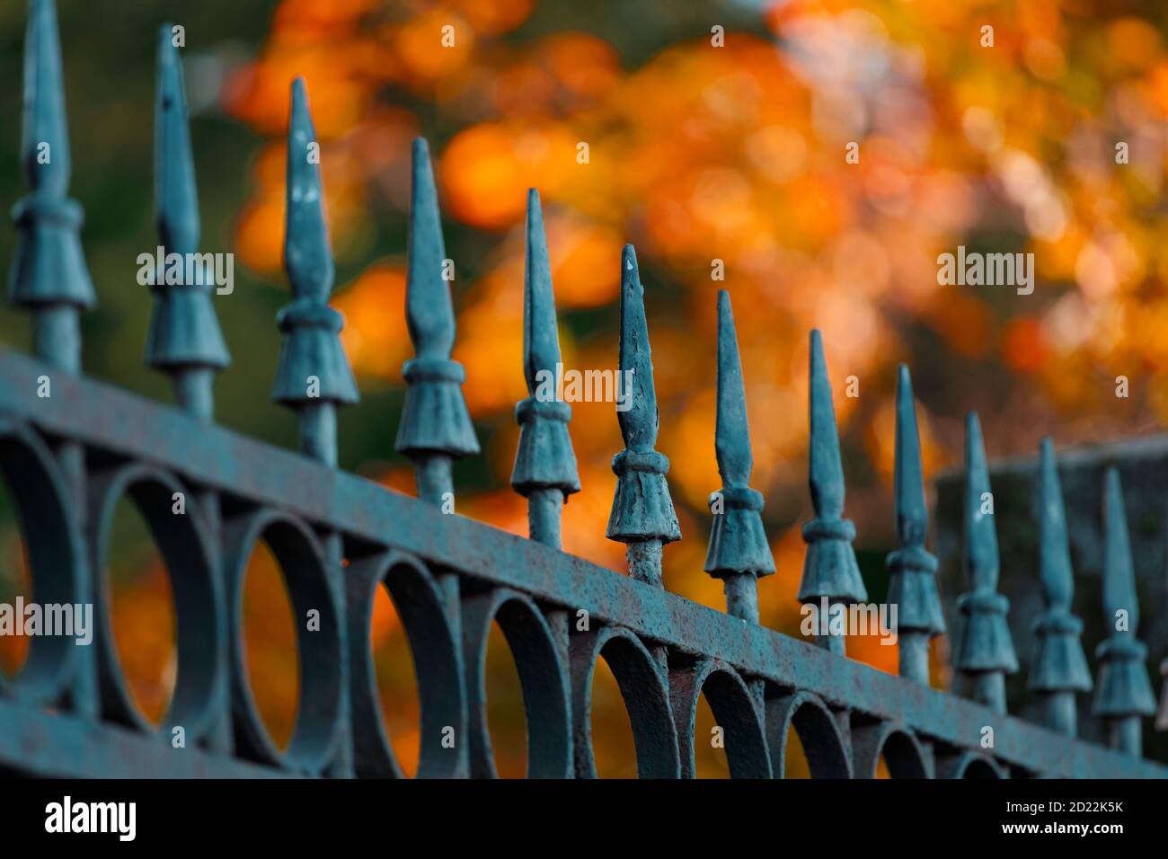 beautiful wrought iron lattice in the park in autumn Stock Photo - Alamy