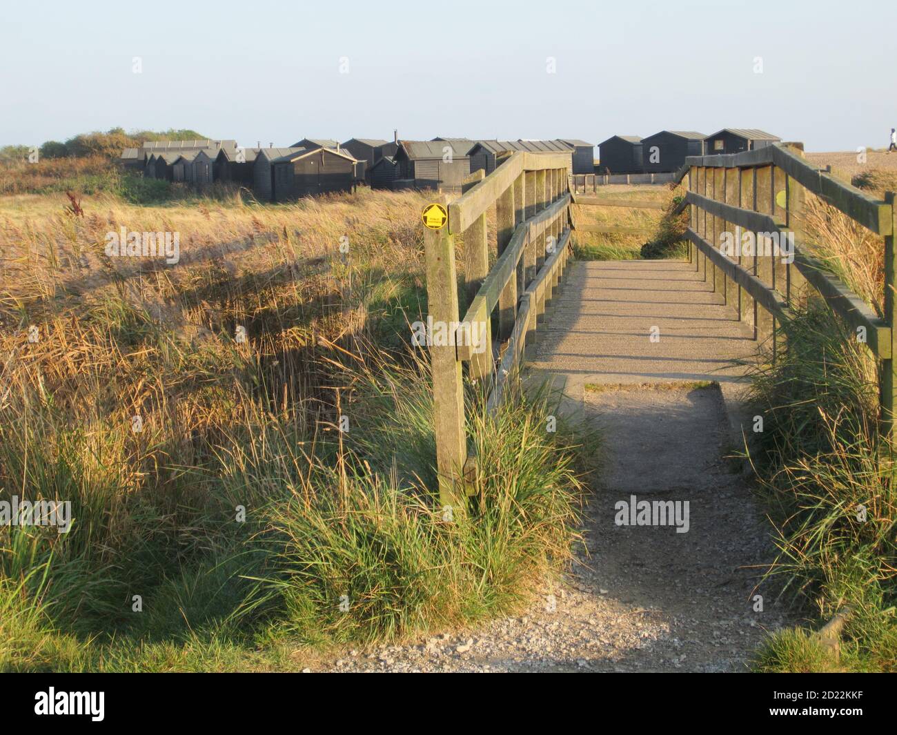East anglia wildlife hi-res stock photography and images - Alamy
