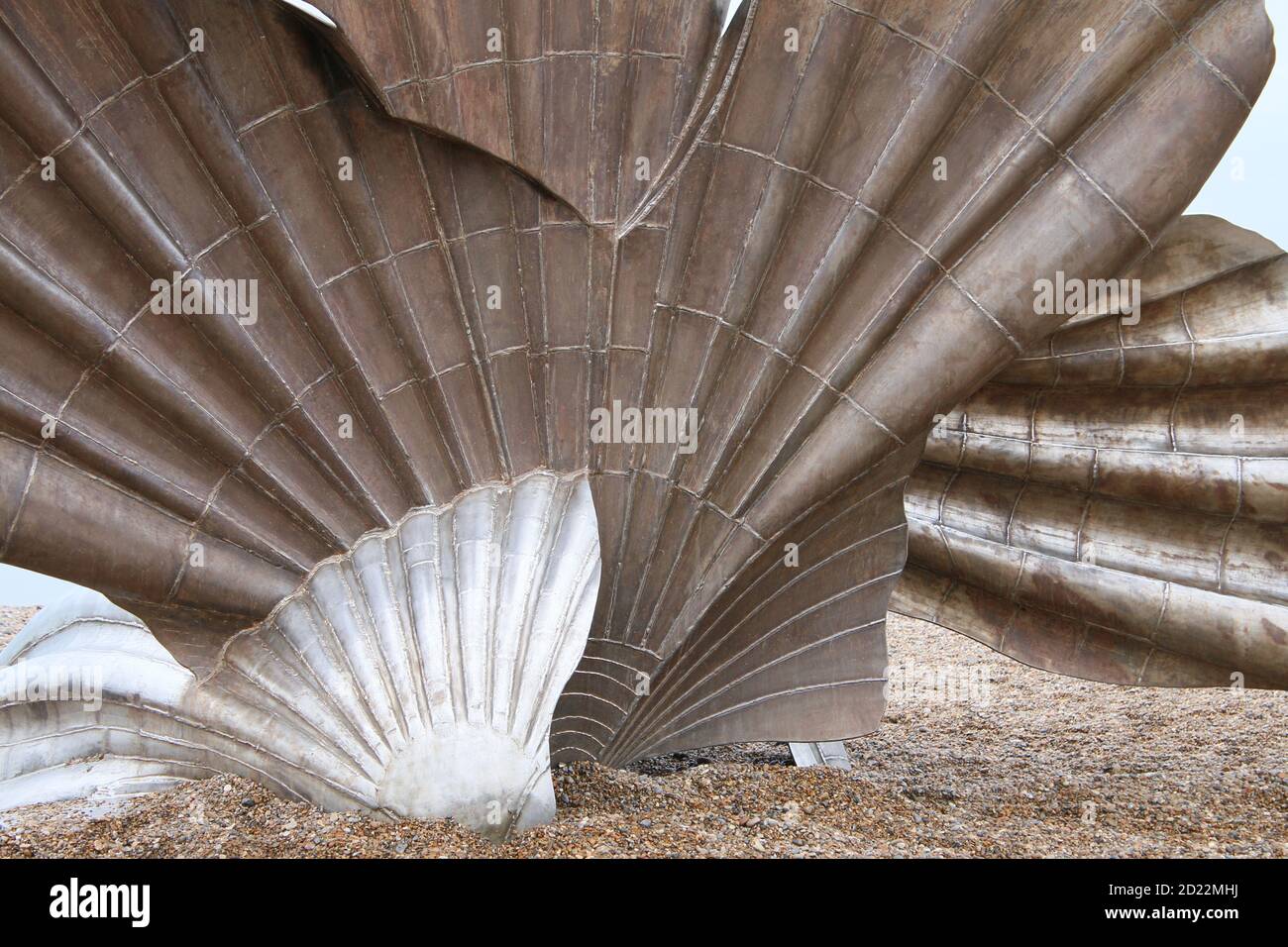 Seashell art hi-res stock photography and images - Alamy