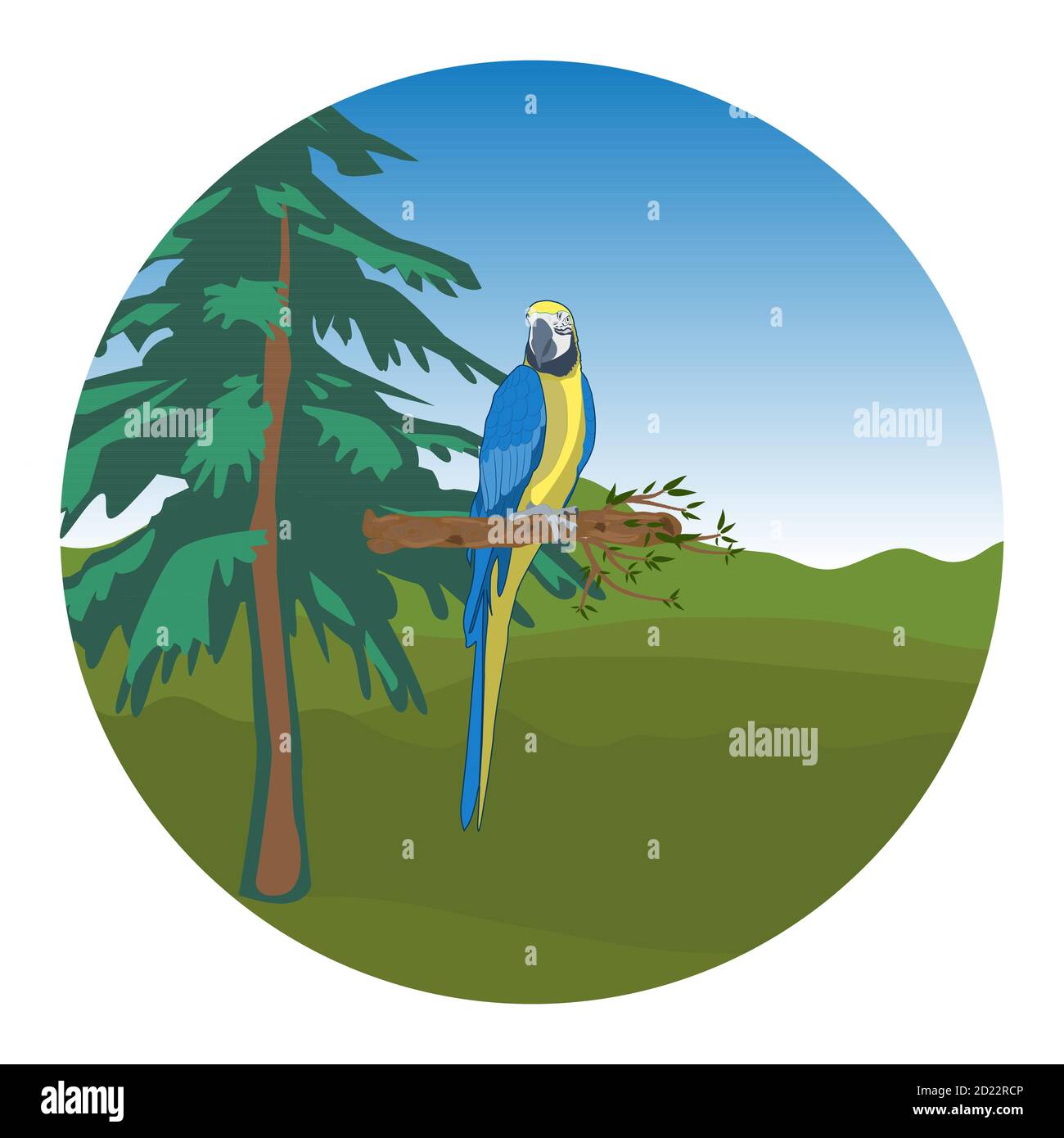 Yellow bird draw tree Stock Vector Images - Alamy