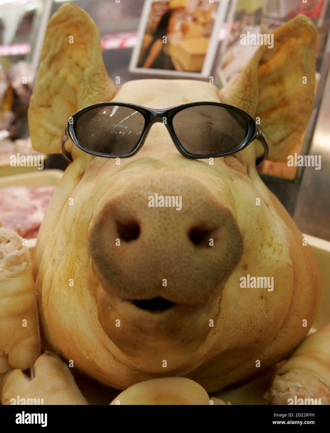 Pig in okinawa hi-res stock photography and images - Alamy