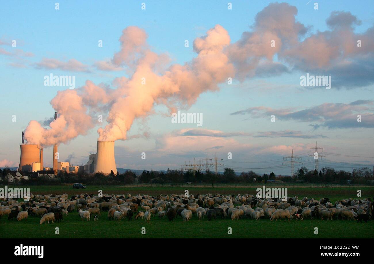 Sheep next to water hi-res stock photography and images - Alamy