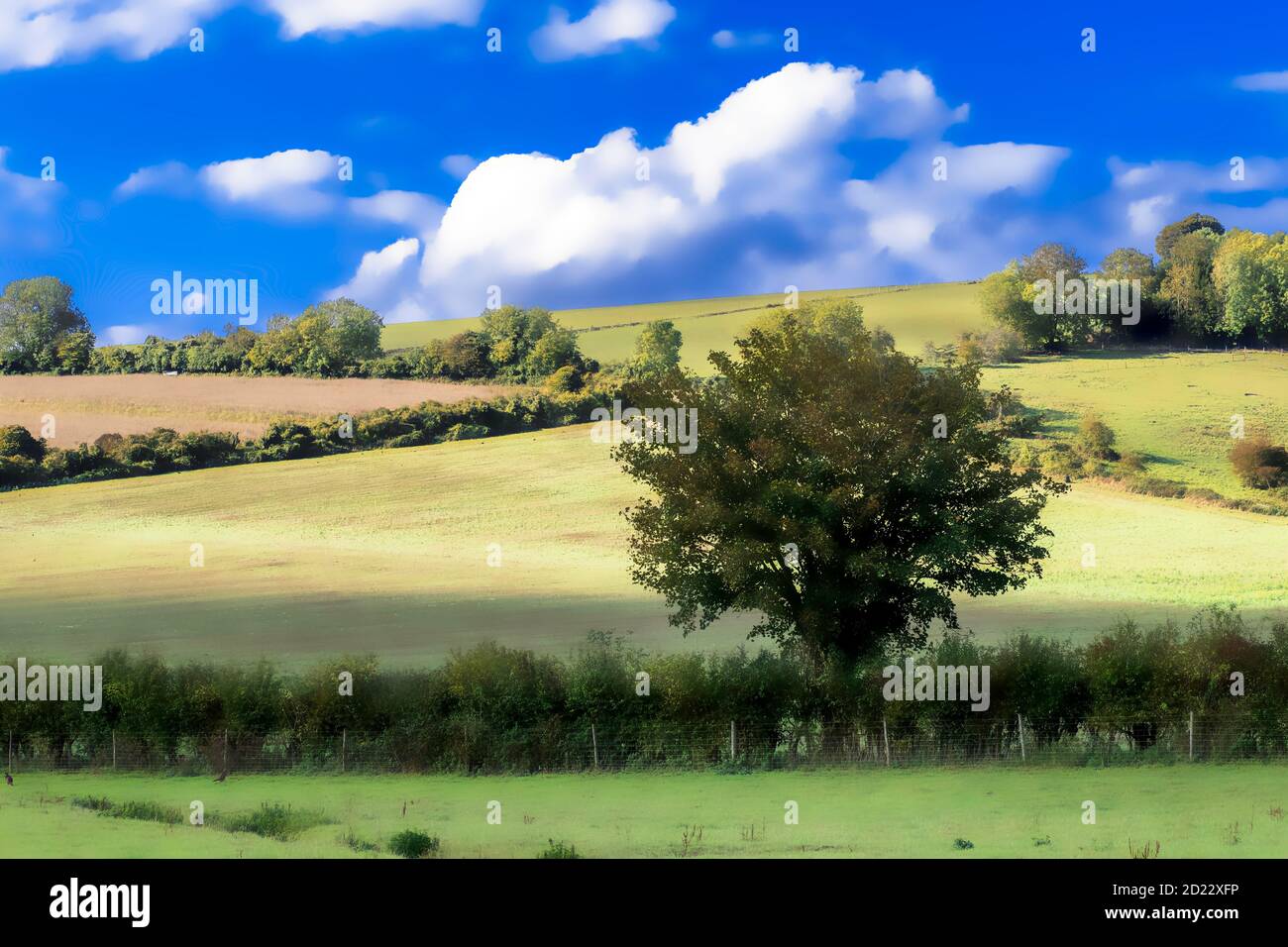 Abstract painting of tree and field in countryside uk Stock Photo - Alamy