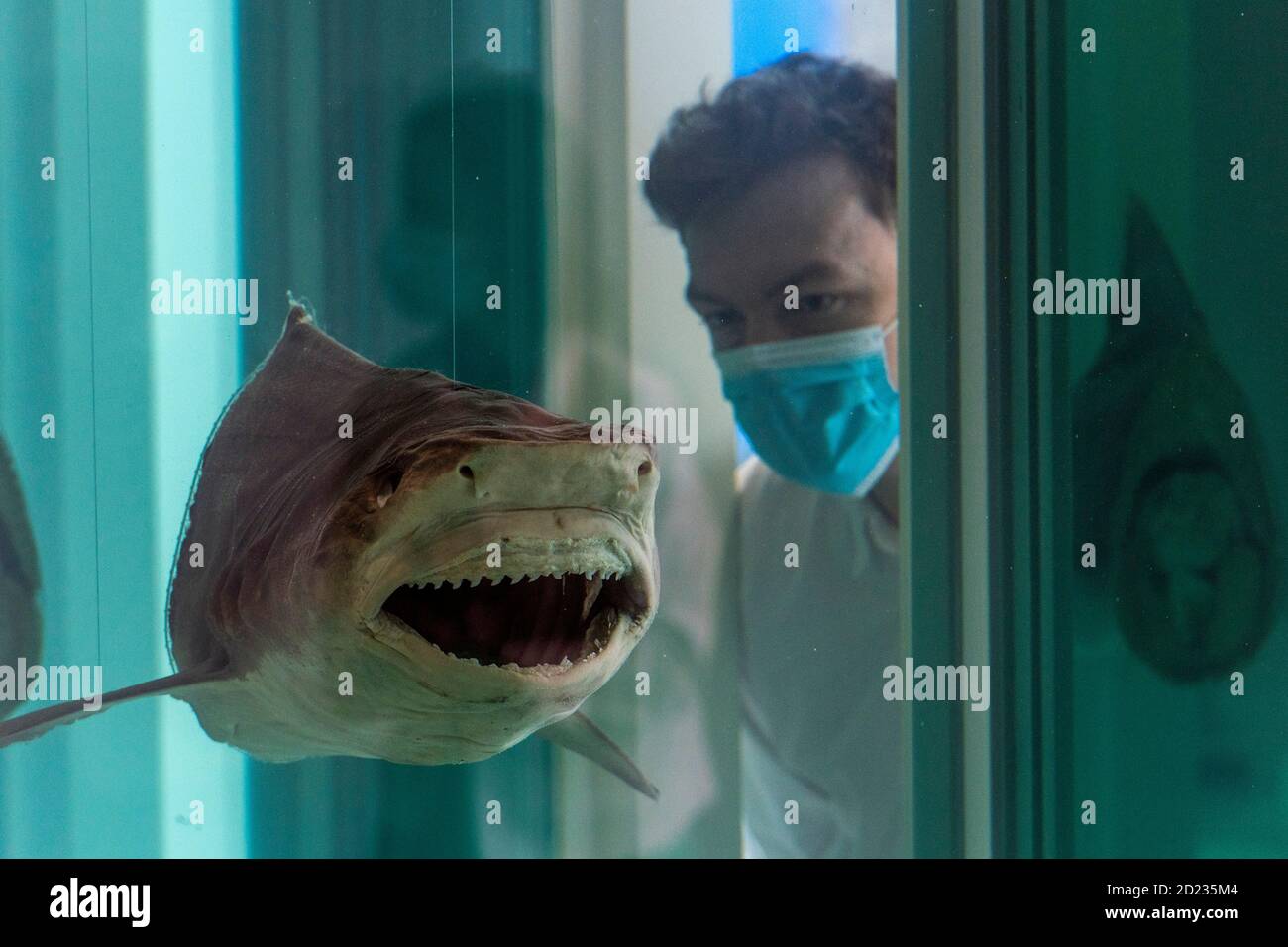 06/10/2020. Photo by Ray Tang. Artwork titled Myth Explored, Explained ...