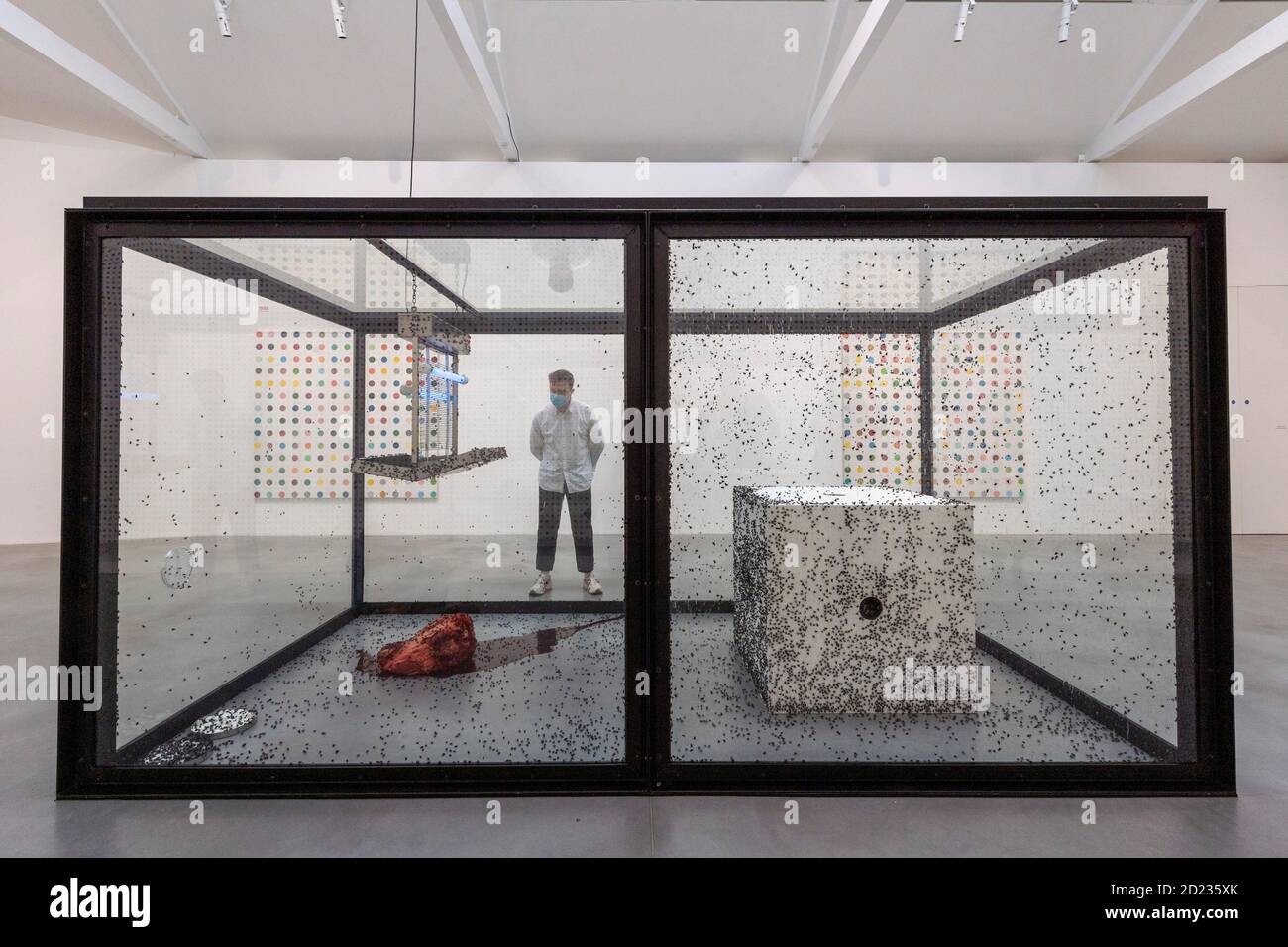 06/10/2020. Photo by Ray Tang. Artwork titled A Hundred Years (1998) by ...